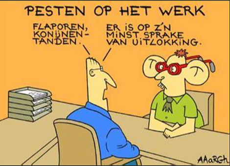 Gentenaar | DE KUIP – GENT (Belgique – Belgium)