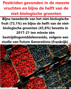 DE KUIP – GENT (Belgique – Belgium) | Gent mijn schuun Gent